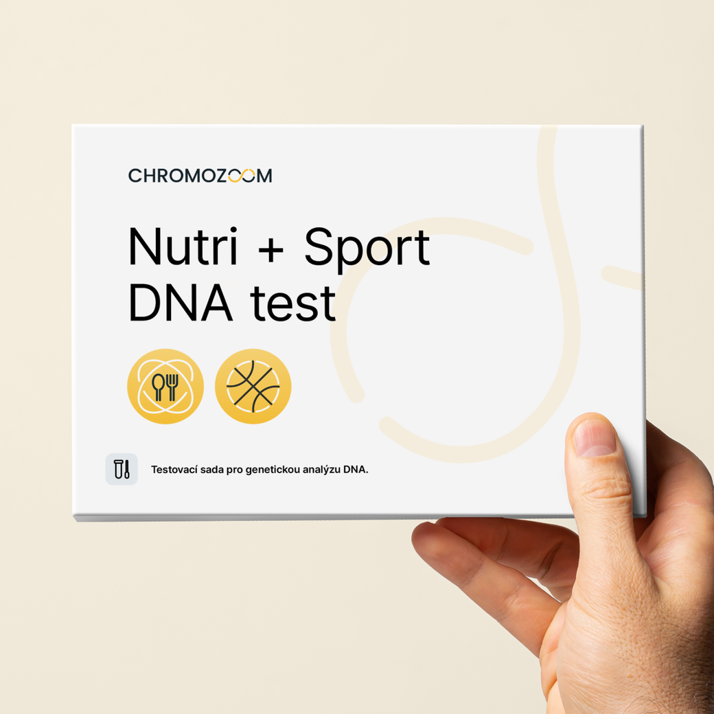 Nutri + Sport